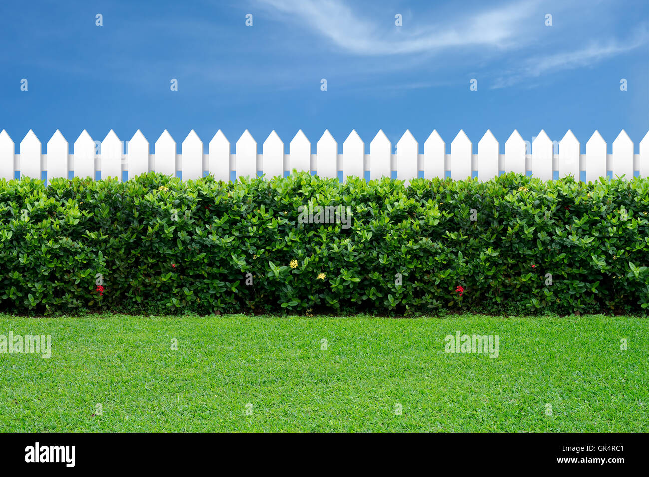 park garden field Stock Photo - Alamy