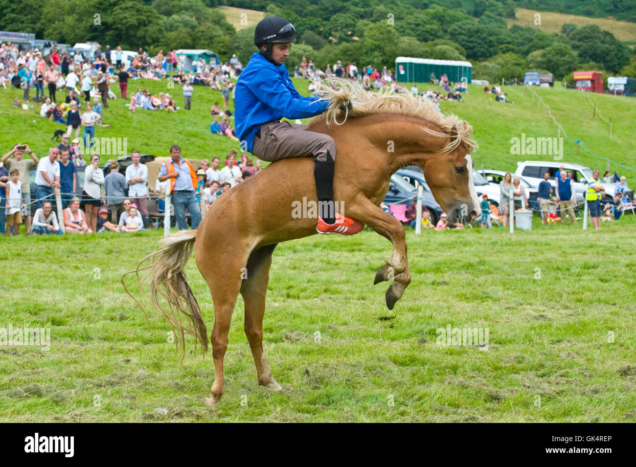 One of the last country shows in the UK to still feature rodeo riding ...