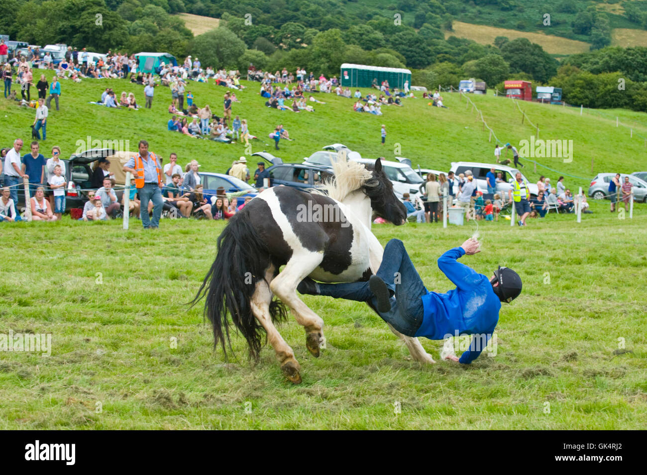 Horse Shows Uk High Resolution Stock Photography and Images - Alamy