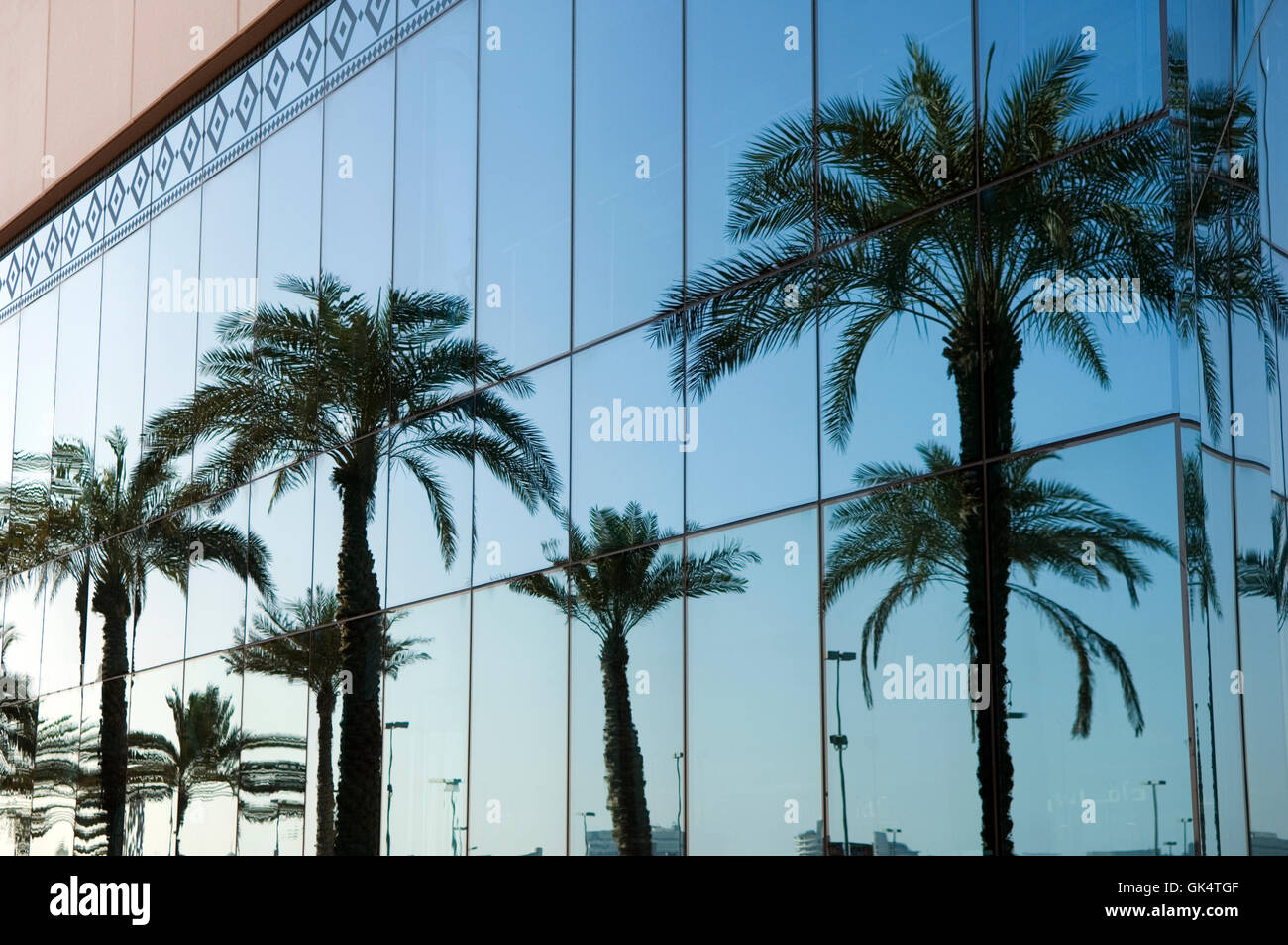 2006, Abu Dhabi, United Arab Emirates --- Reflection of Palm Trees in ...