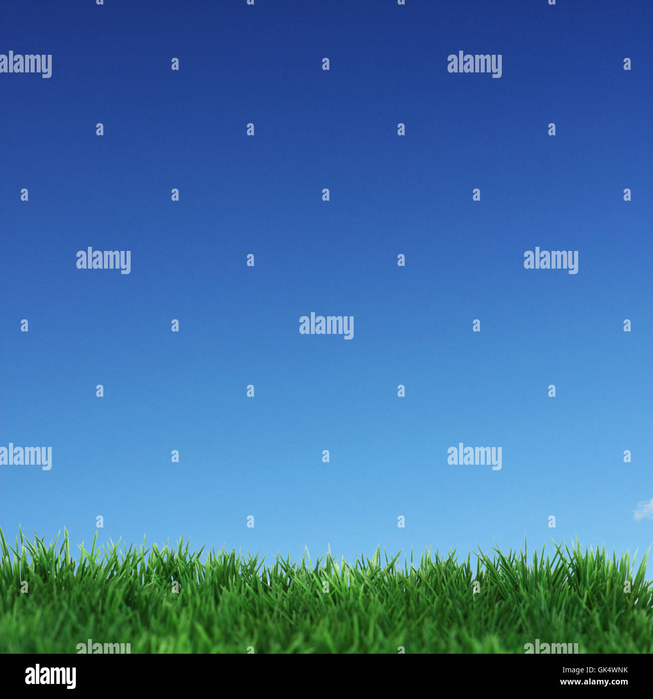 Gardens clear sky hi-res stock photography and images - Alamy