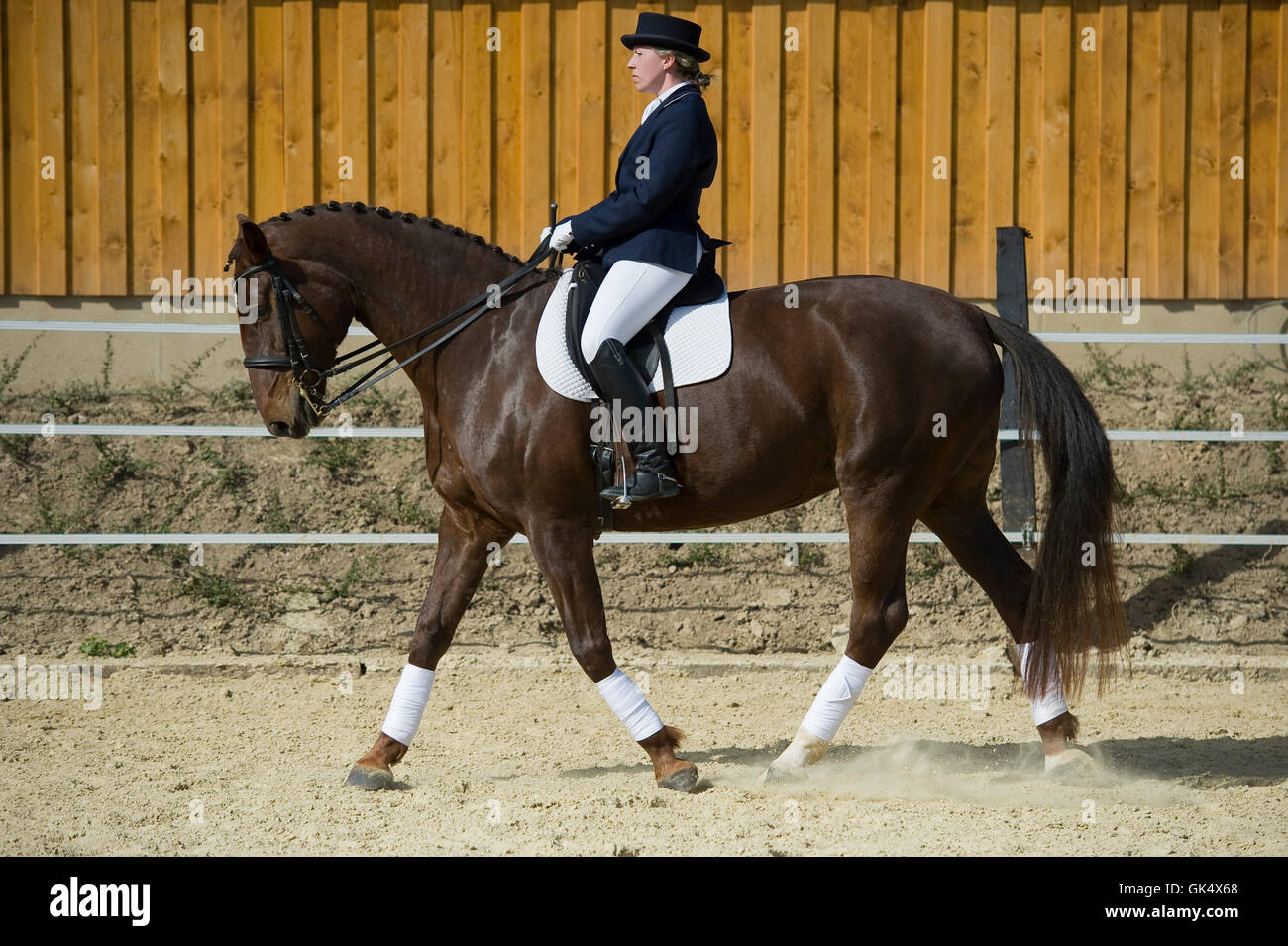 Horse sands hi-res stock photography and images - Alamy