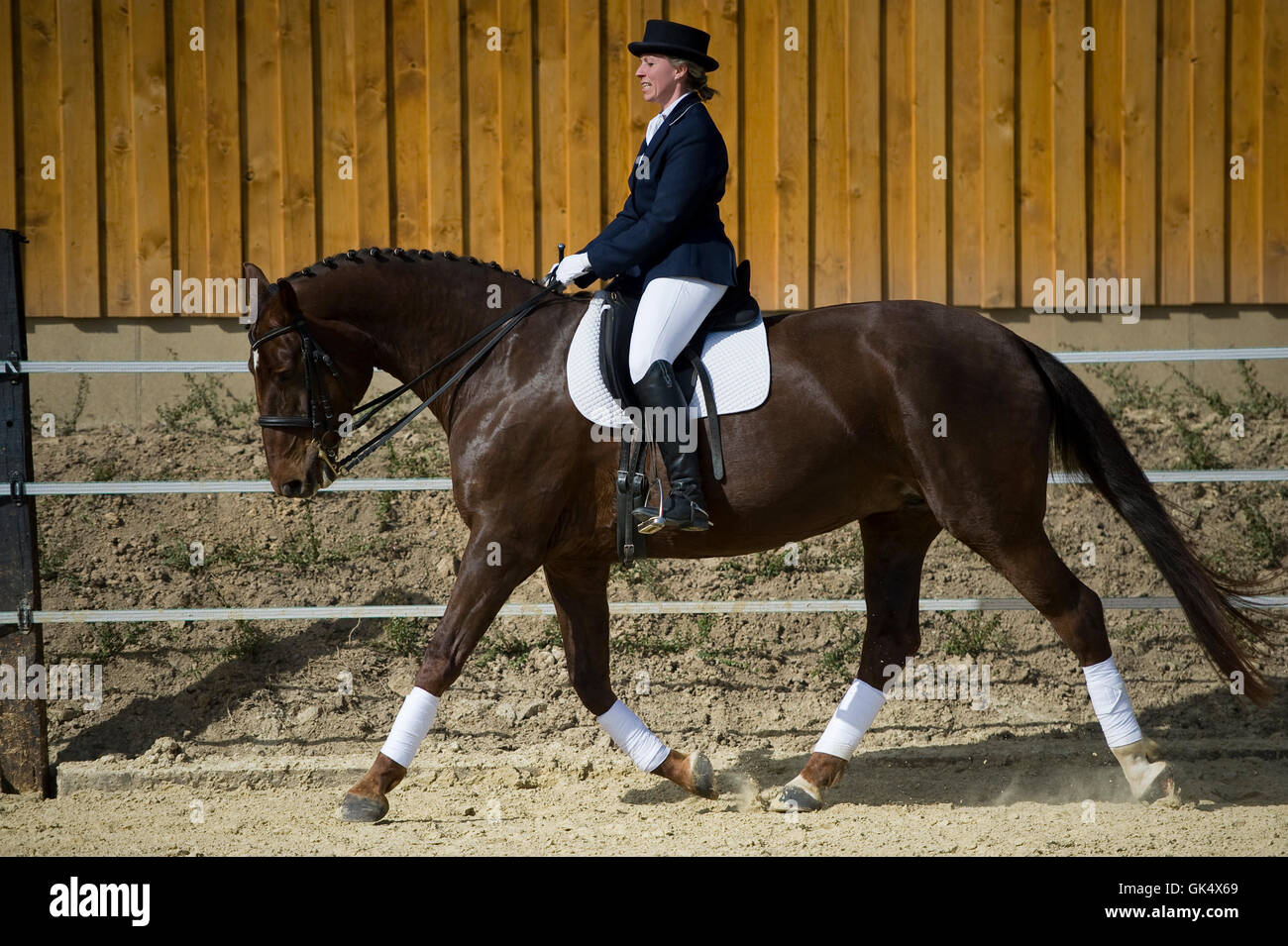 horse riding - dressage Stock Photo - Alamy