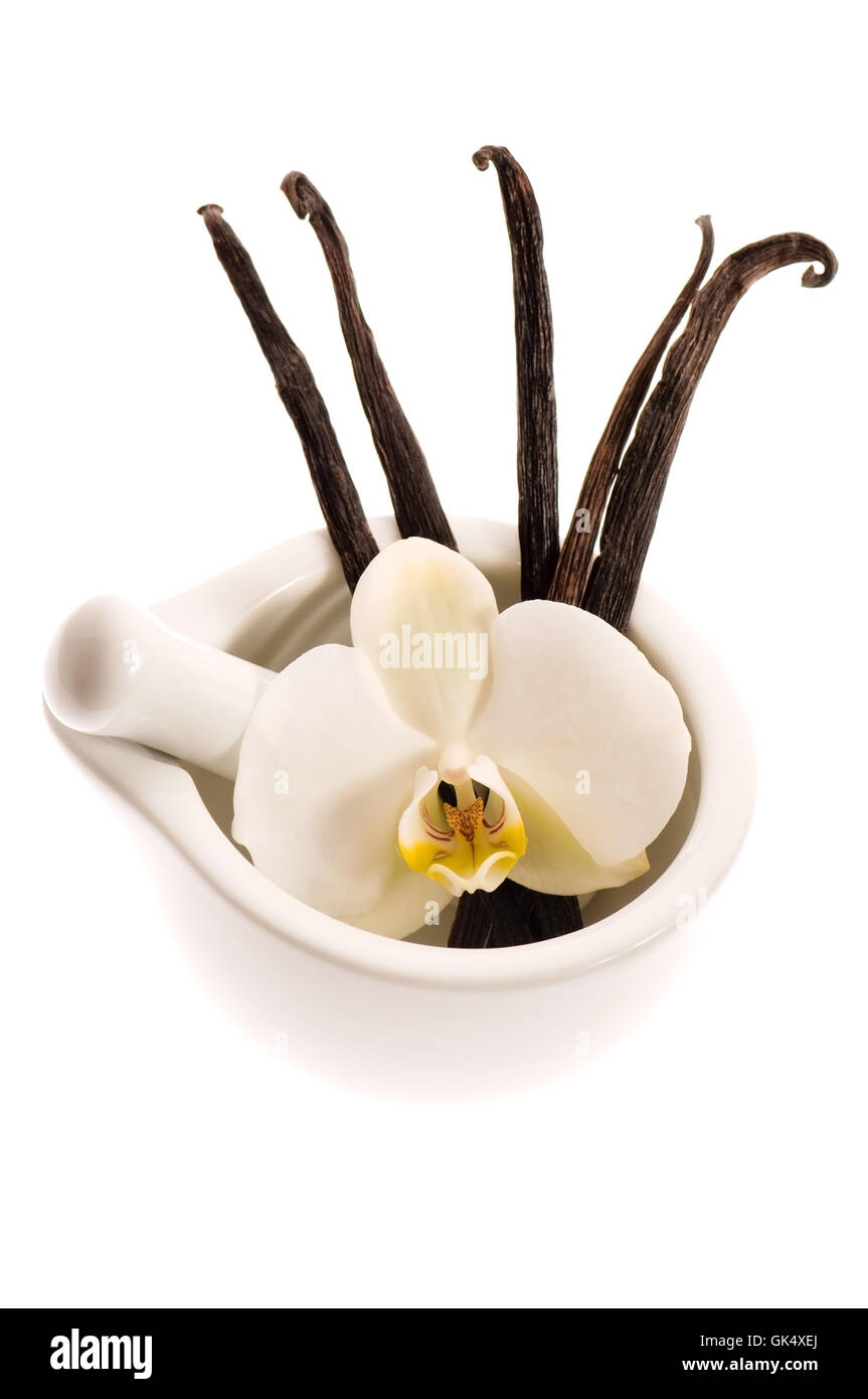 Bean flower closeup Cut Out Stock Images & Pictures - Alamy