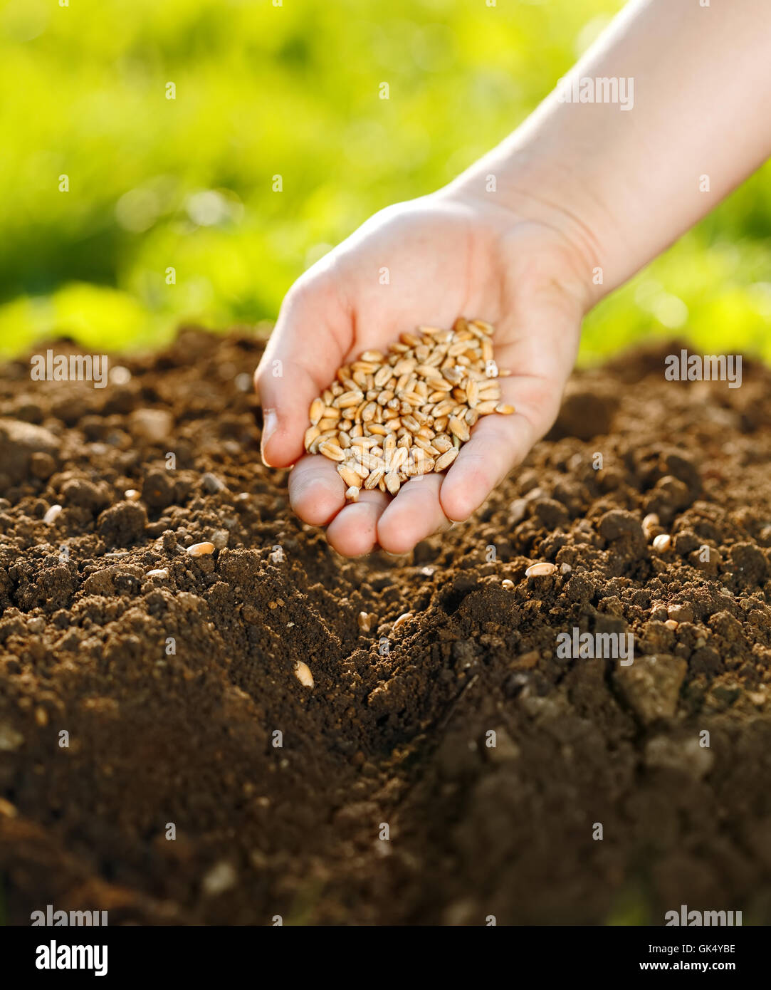 finger ground soil Stock Photo - Alamy
