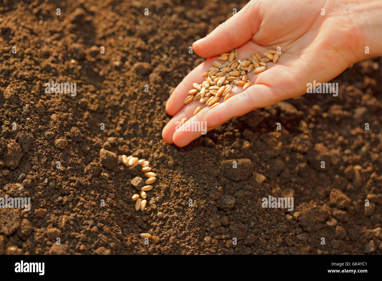 finger ground soil Stock Photo - Alamy