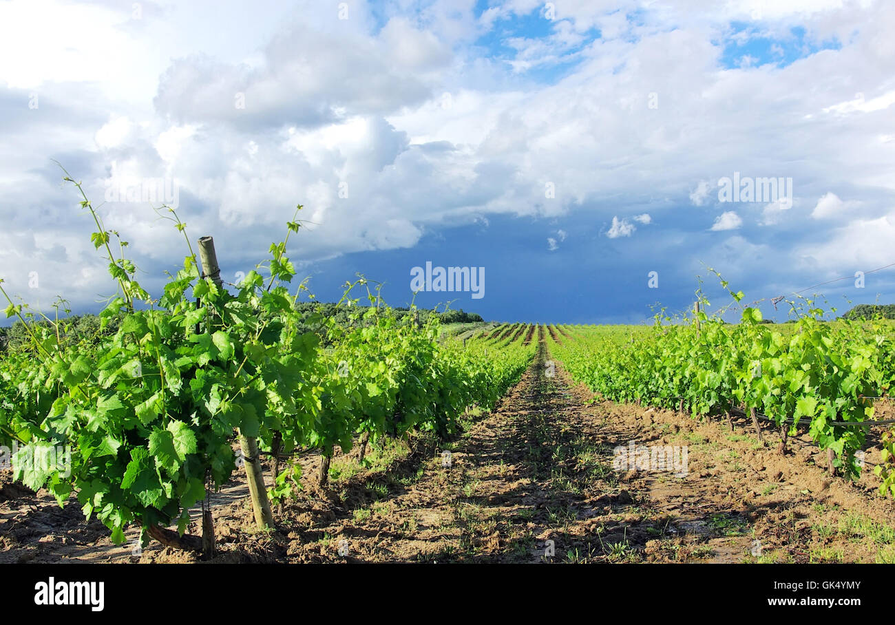 agriculture farming thunderstorm Stock Photo - Alamy