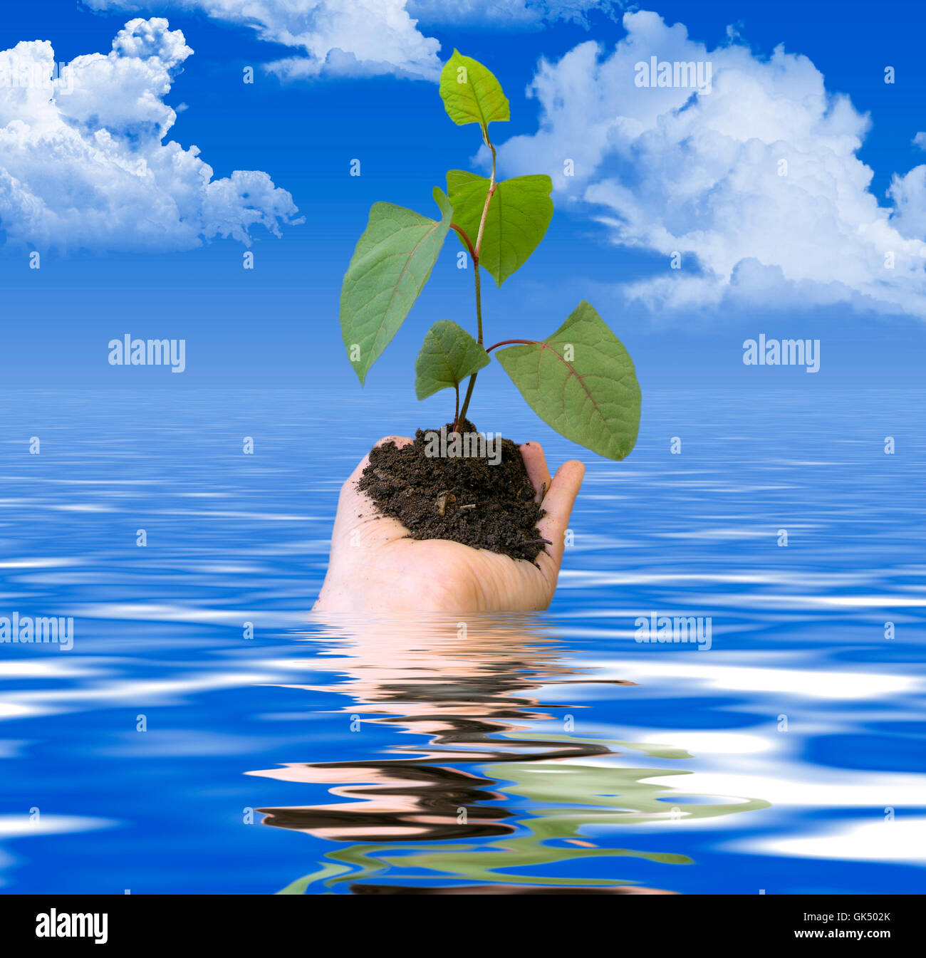hand tree green Stock Photo - Alamy