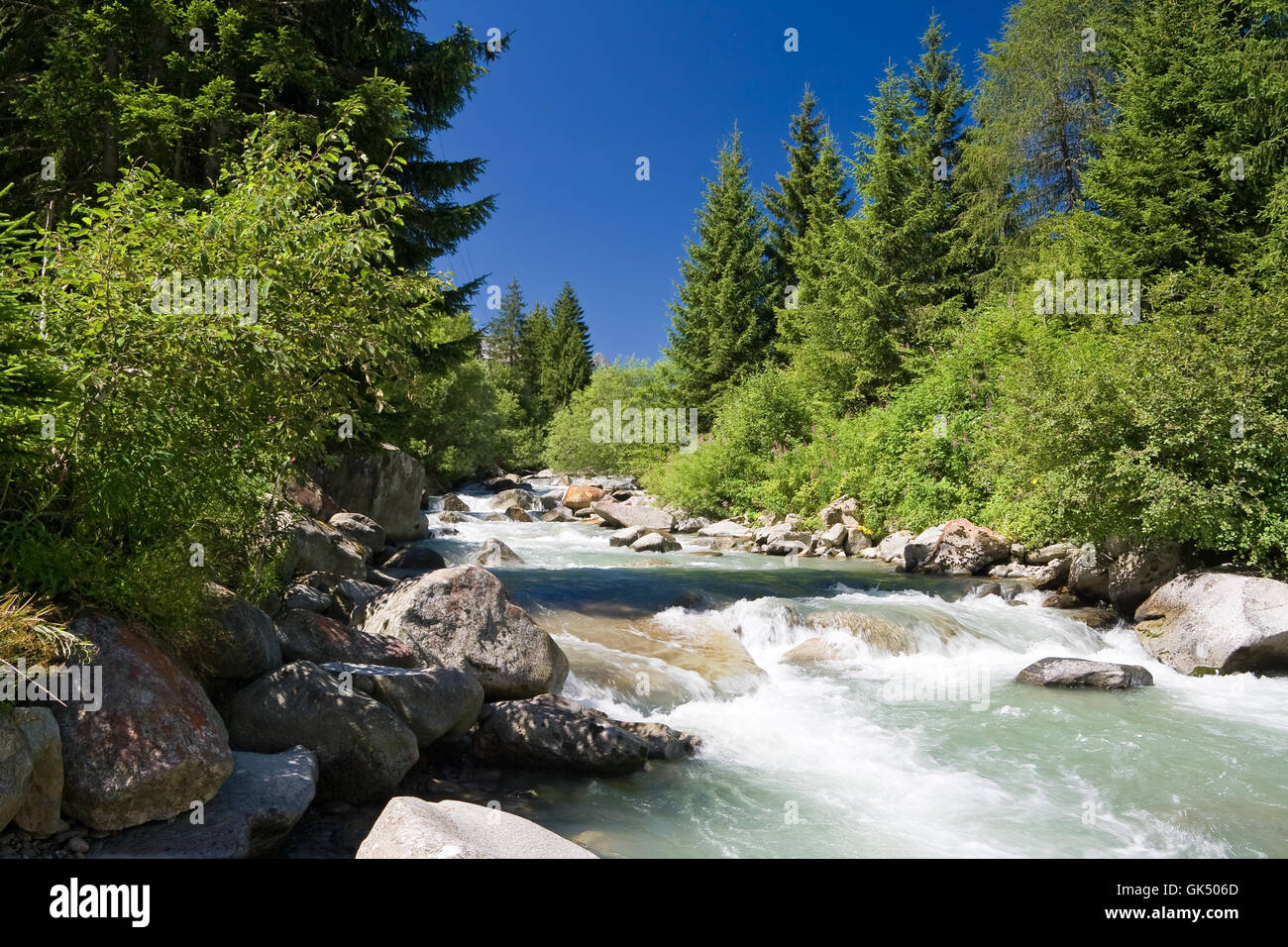 tree alps summer Stock Photo - Alamy