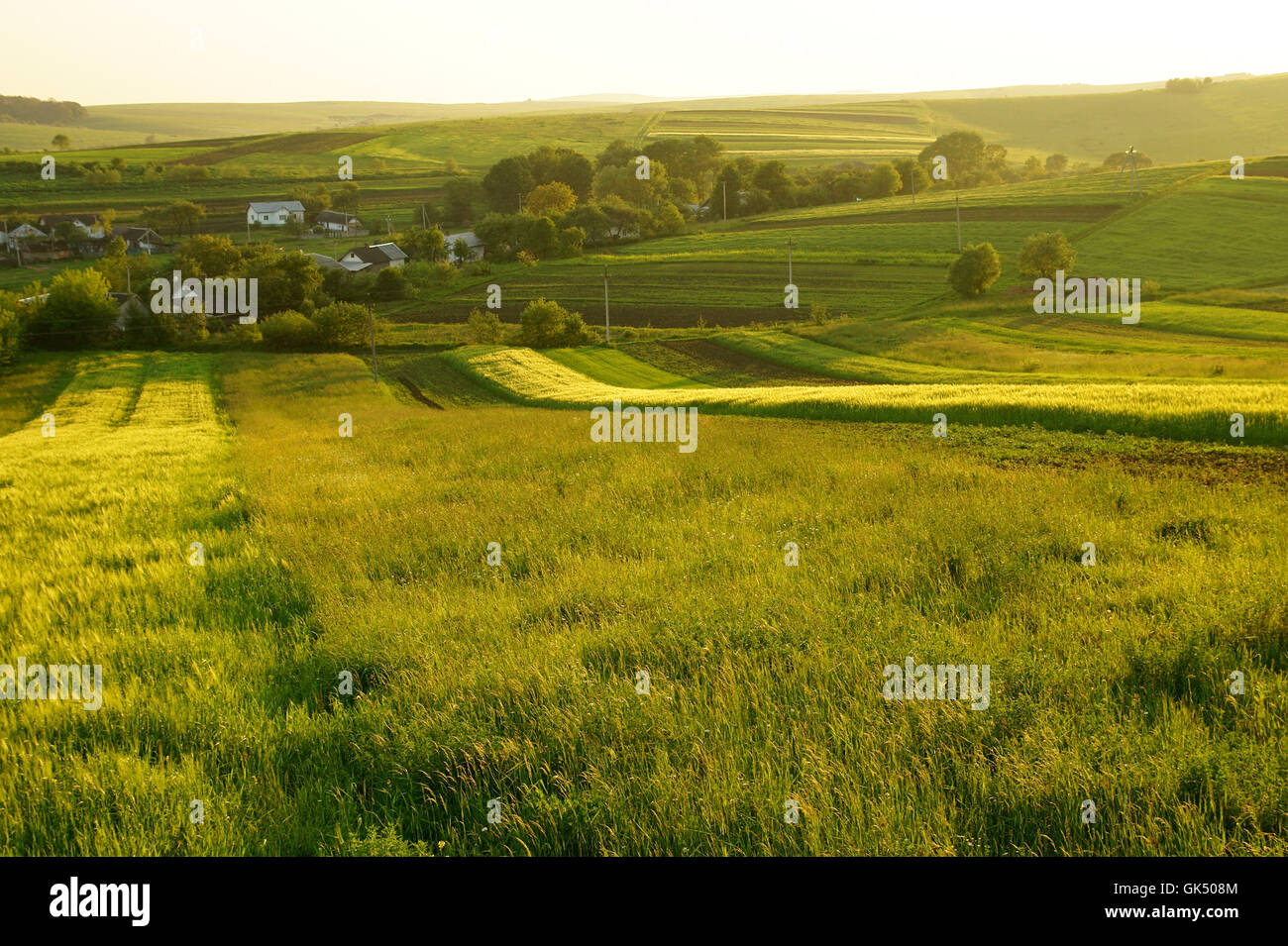 summer summerly scene Stock Photo - Alamy