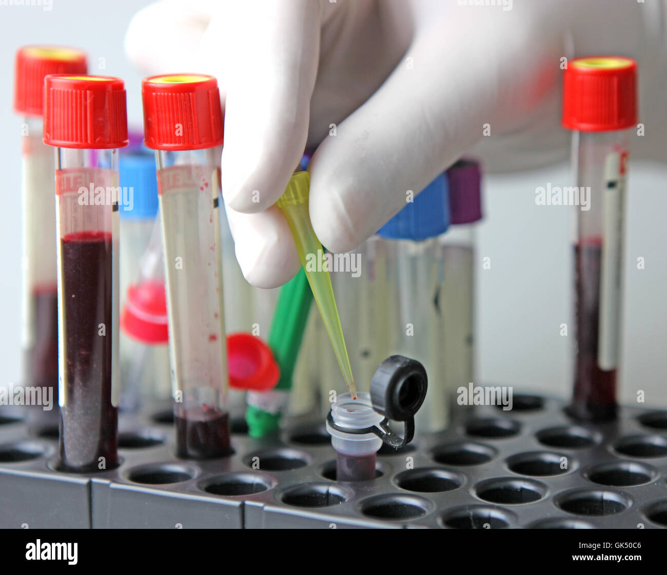 science research laboratory Stock Photo - Alamy