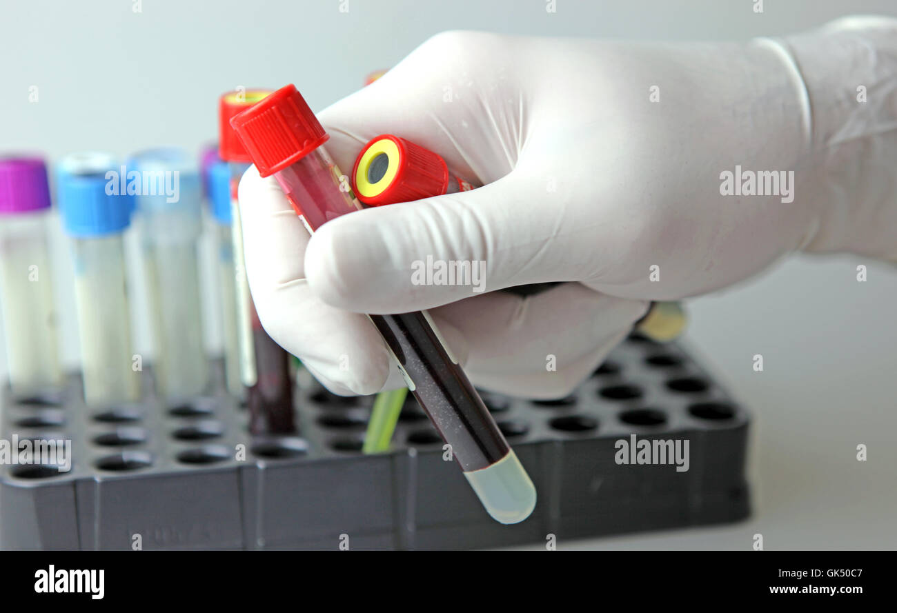 science research laboratory Stock Photo - Alamy