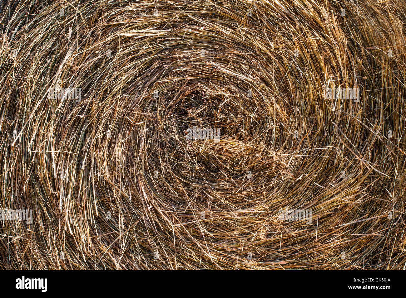 Dry round hay stack natural background, close up Stock Photo - Alamy