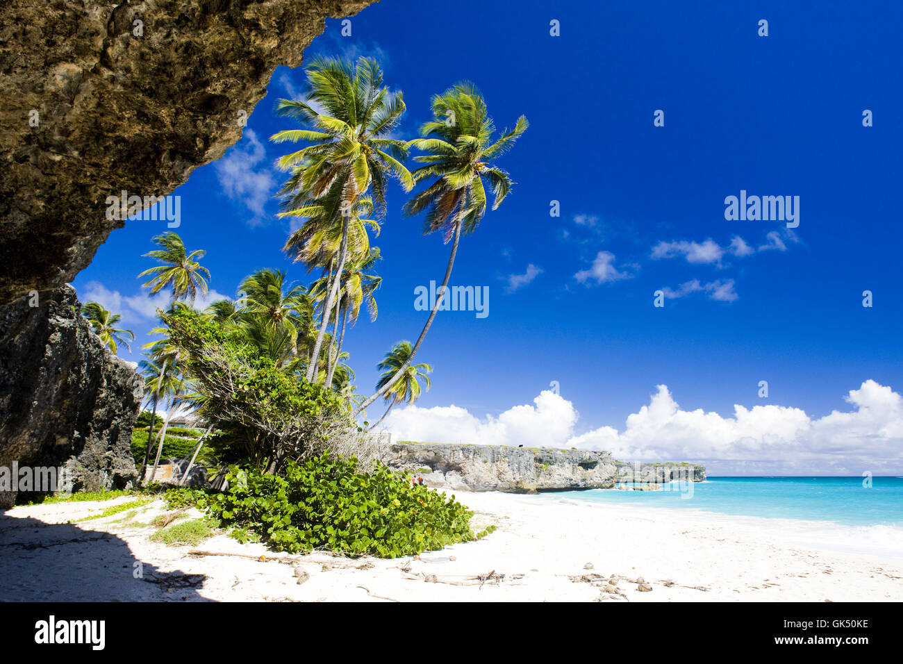 Tropical beach seaside palm trees rocks hi-res stock photography and ...