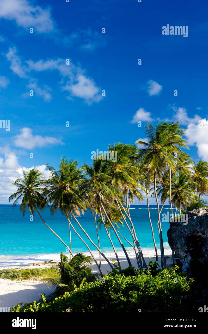 beach seaside the beach Stock Photo - Alamy