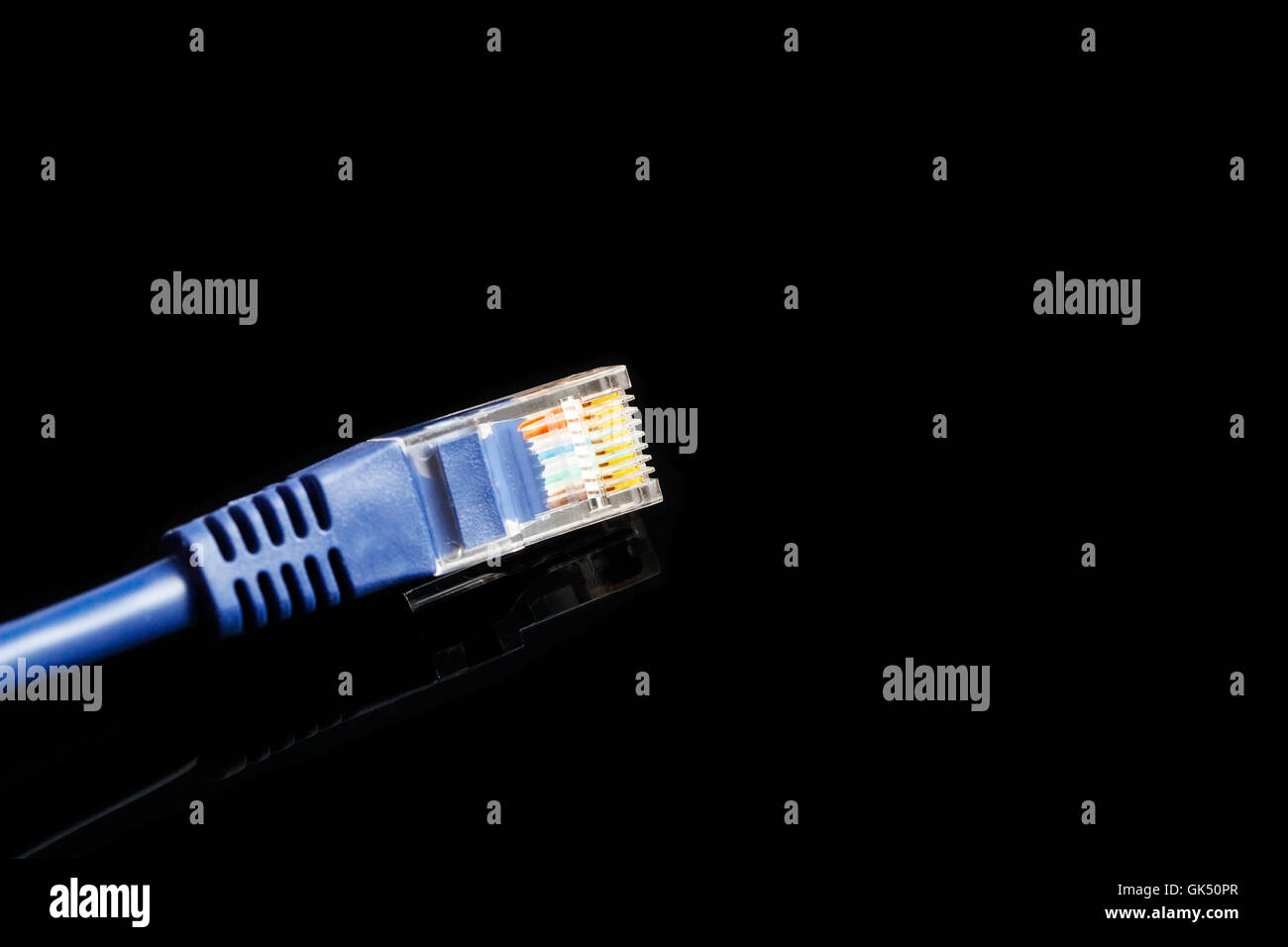 Blue computer ethernet cable isolated on black background, close-up ...