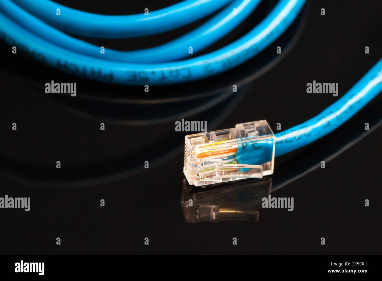 Blue computer ethernet cable isolated on black background, close-up ...