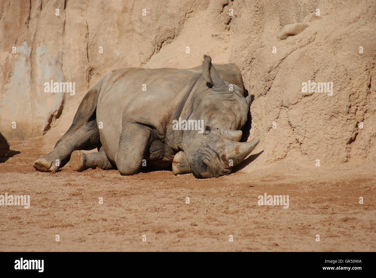 big large enormous Stock Photo - Alamy