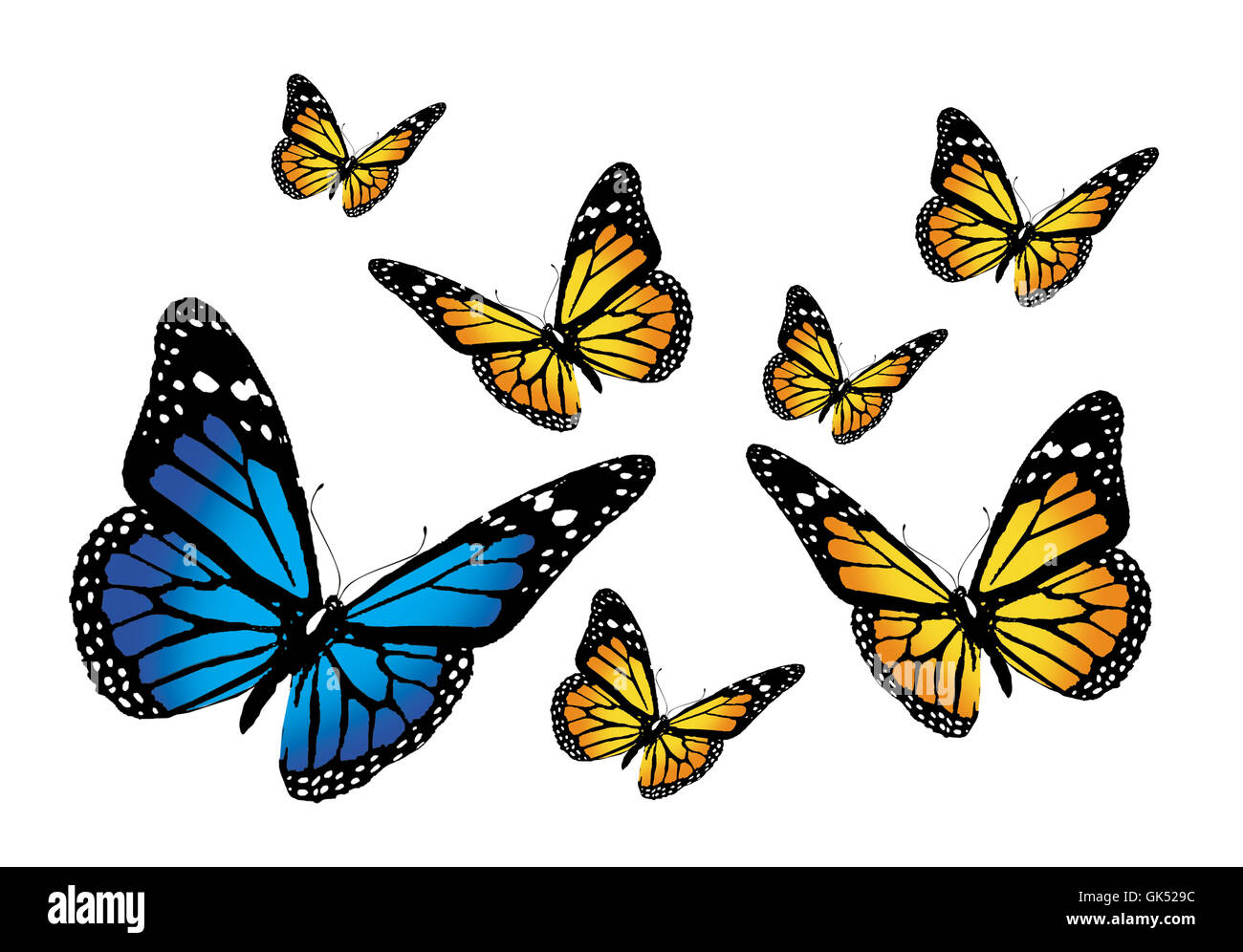 Gorgeous blue butterfly Cut Out Stock Images & Pictures - Alamy