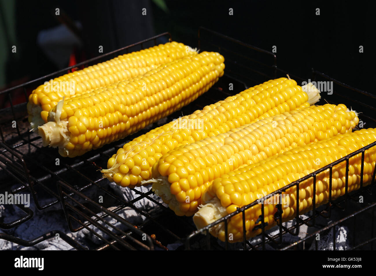 Cooking several fresh boiled yellow corn cobs on open air barbecue ...