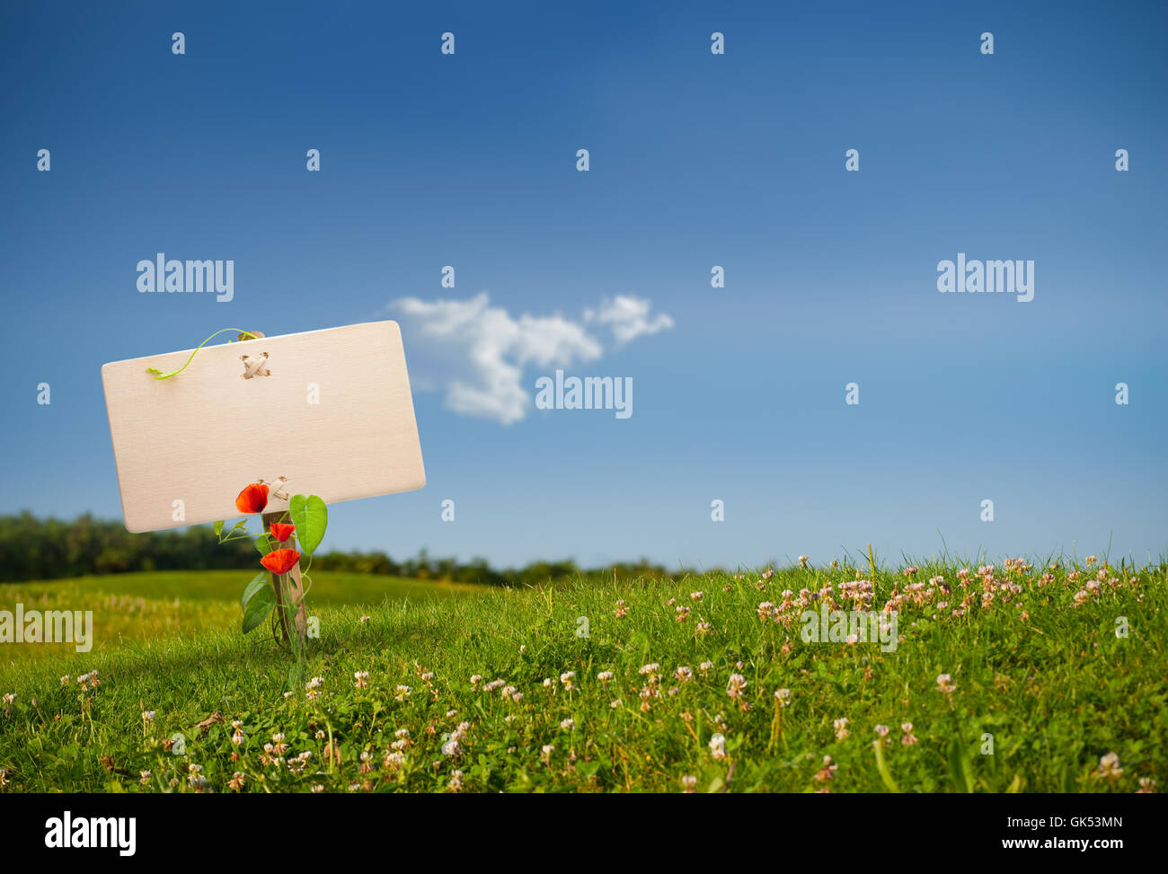 Marketing environment hi-res stock photography and images - Alamy