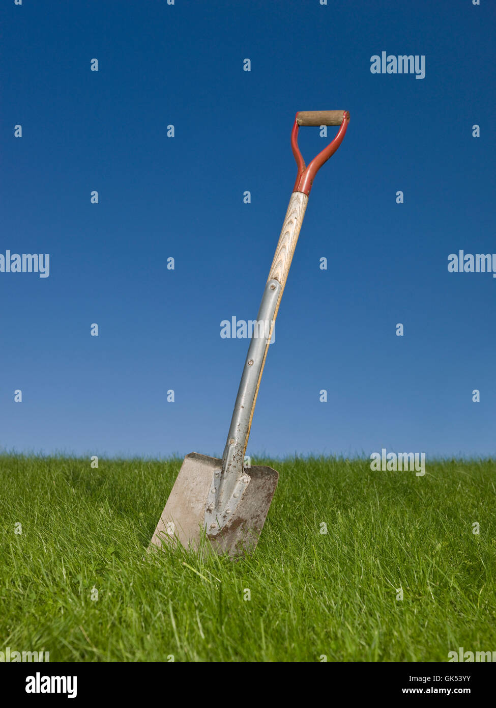 blue tree wood Stock Photo - Alamy