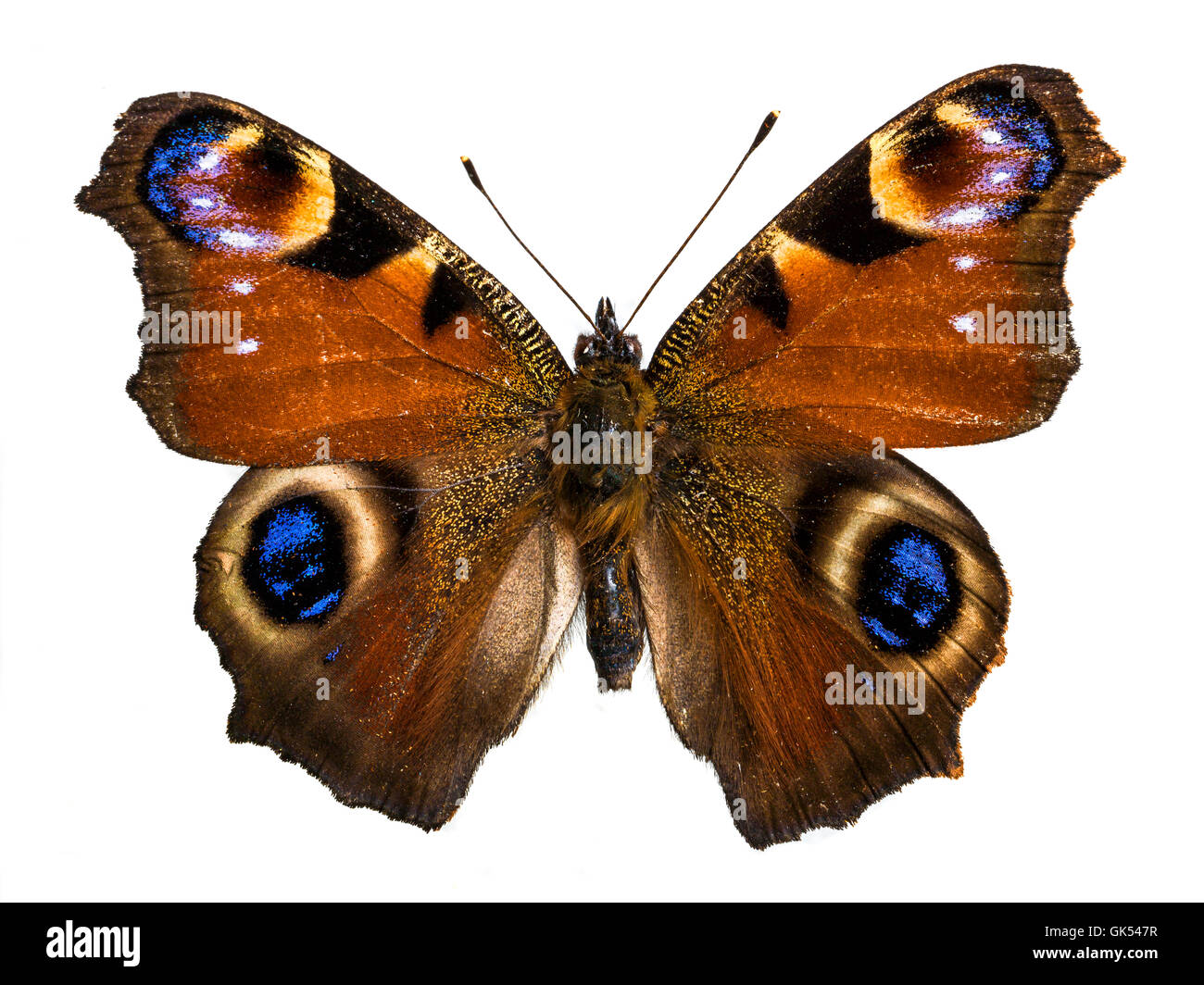 Free io hi-res stock photography and images - Alamy