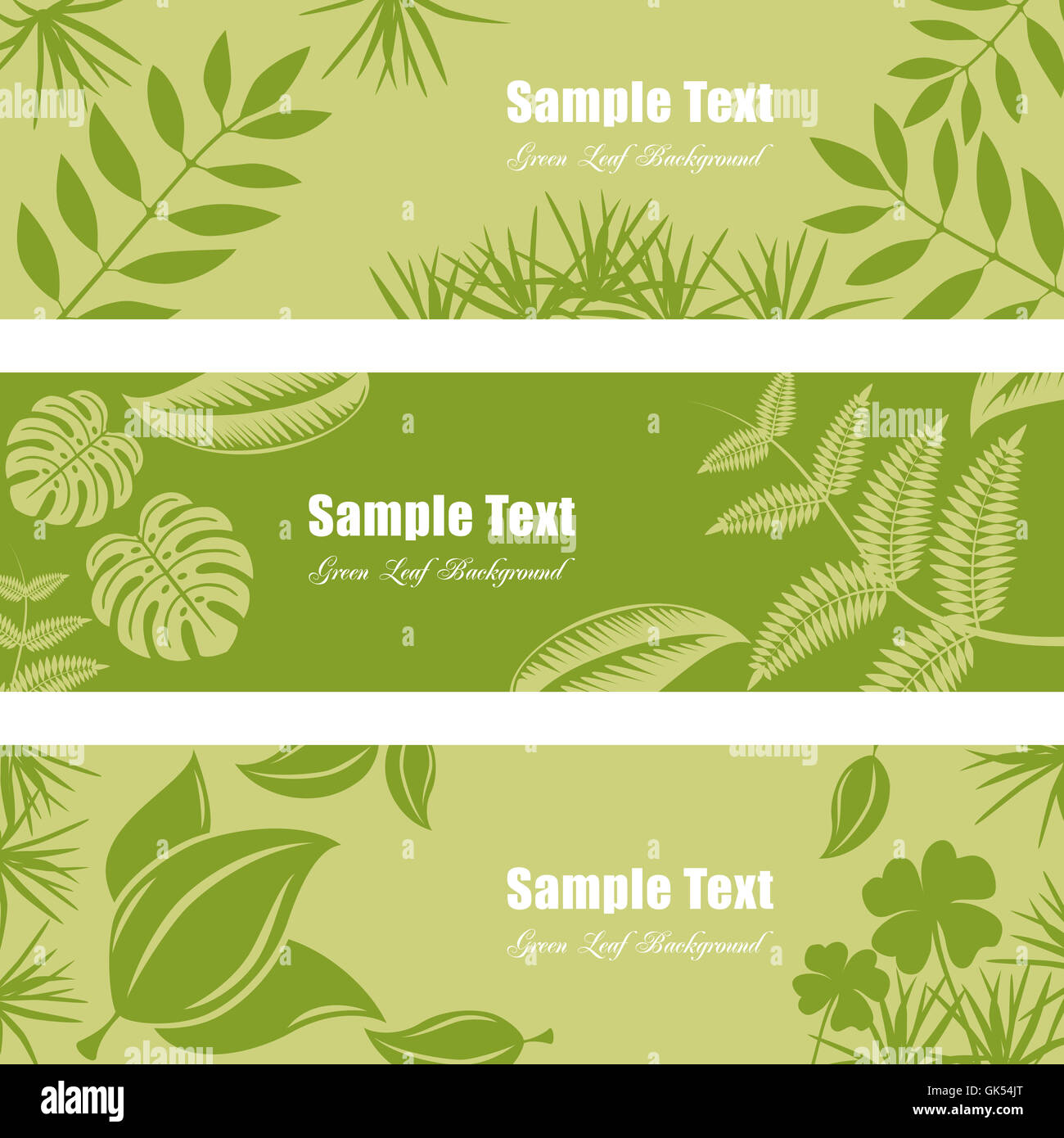 Leaf photo frame hi-res stock photography and images - Alamy