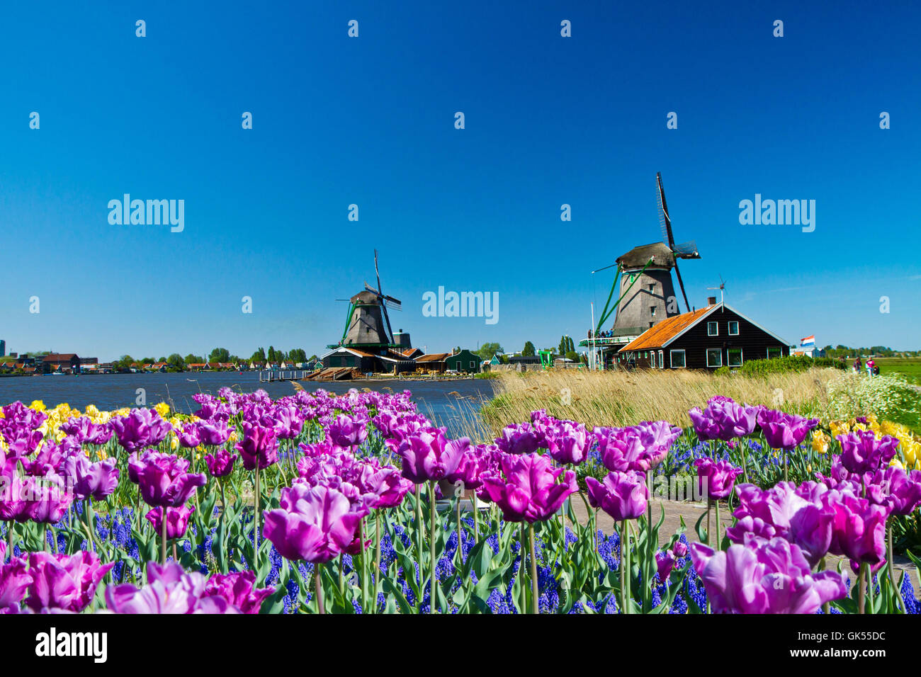 house building travel Stock Photo - Alamy