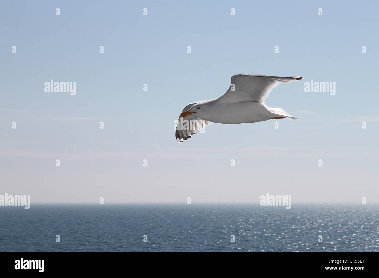 Eye level hi-res stock photography and images - Alamy