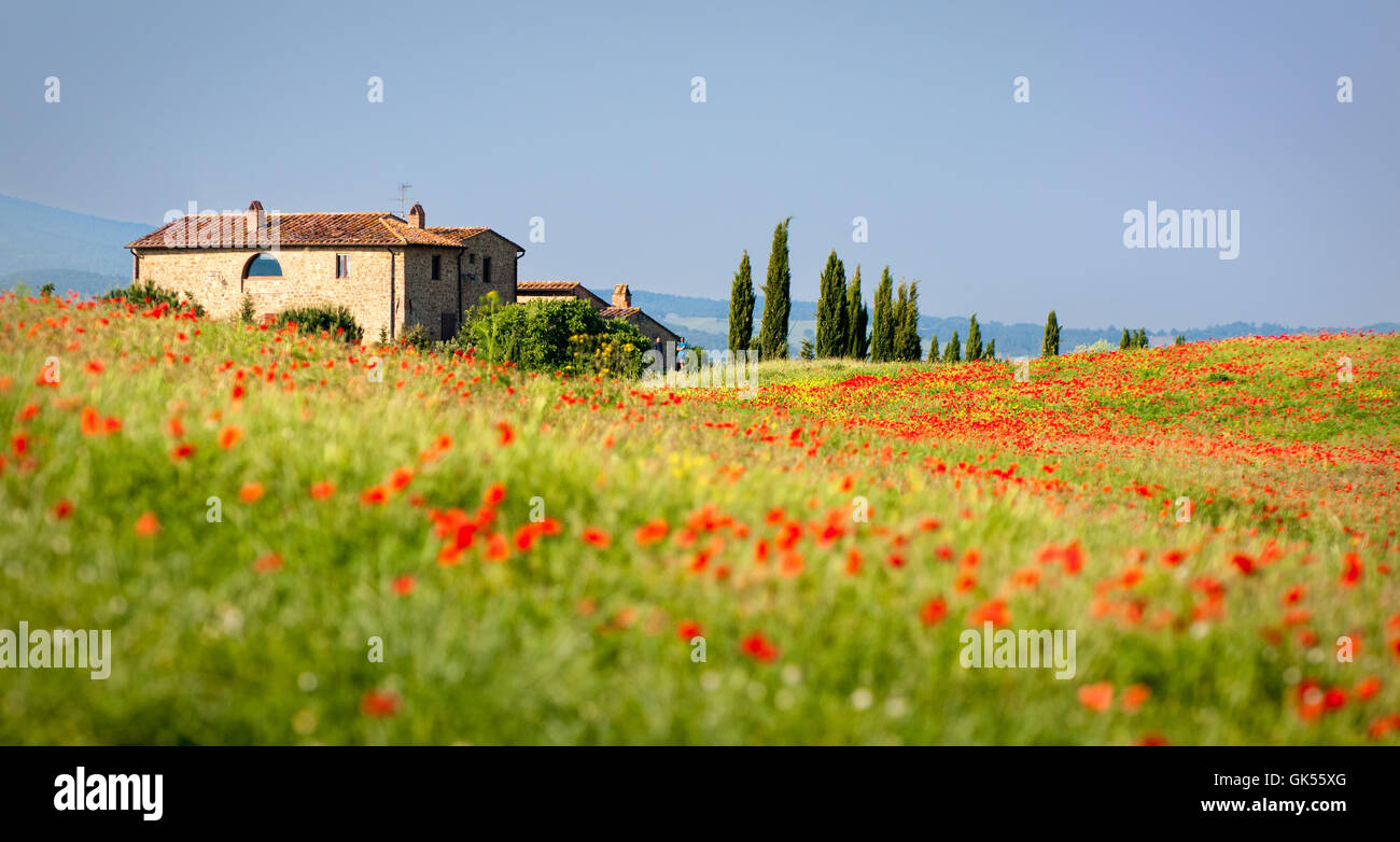 Red italy hi-res stock photography and images - Alamy