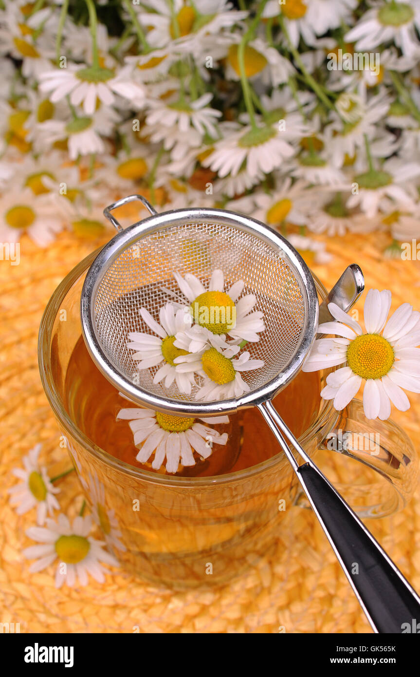 tea camomile camomiletea Stock Photo - Alamy