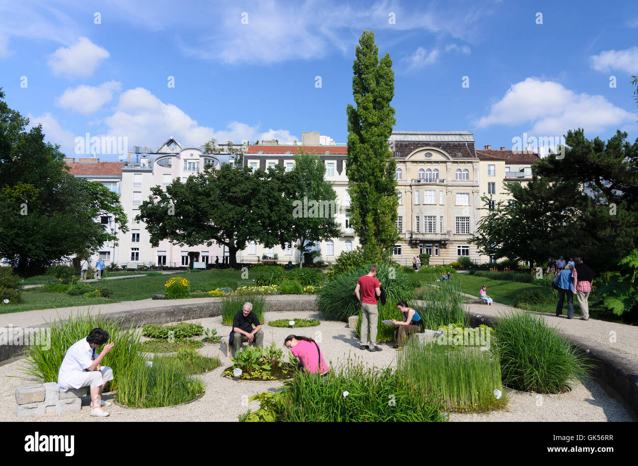 Wien, Vienna: Botanical Garden, Austria, Wien, 03 Stock Photo - Alamy