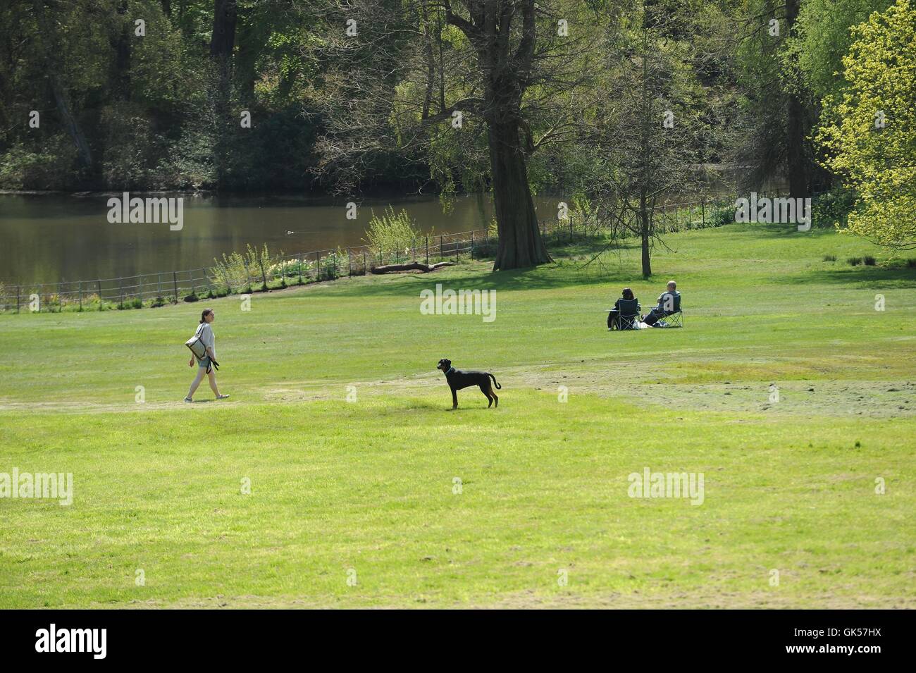People enjoying the warm spring sunshine on Hampstead Heath Featuring ...