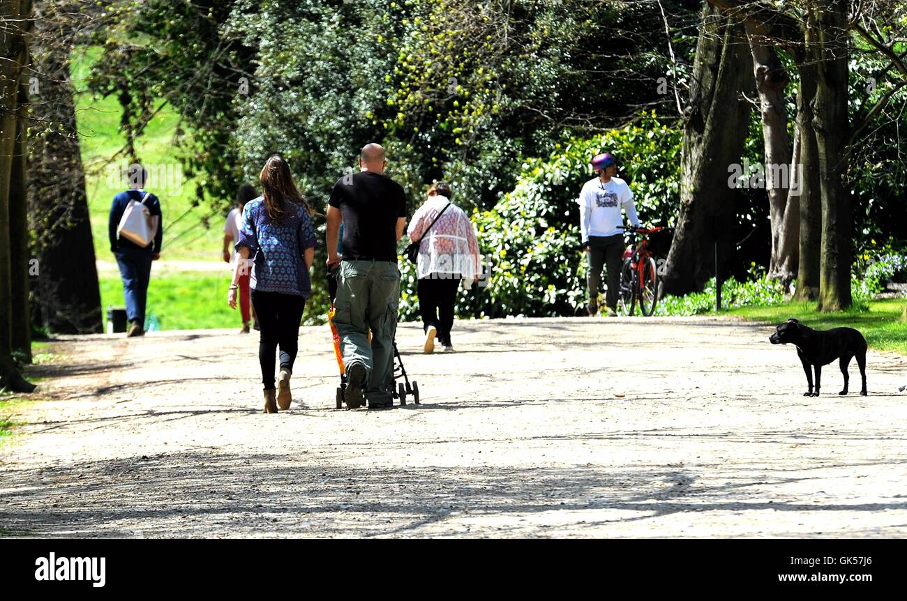 People enjoying the warm spring sunshine on Hampstead Heath Featuring ...