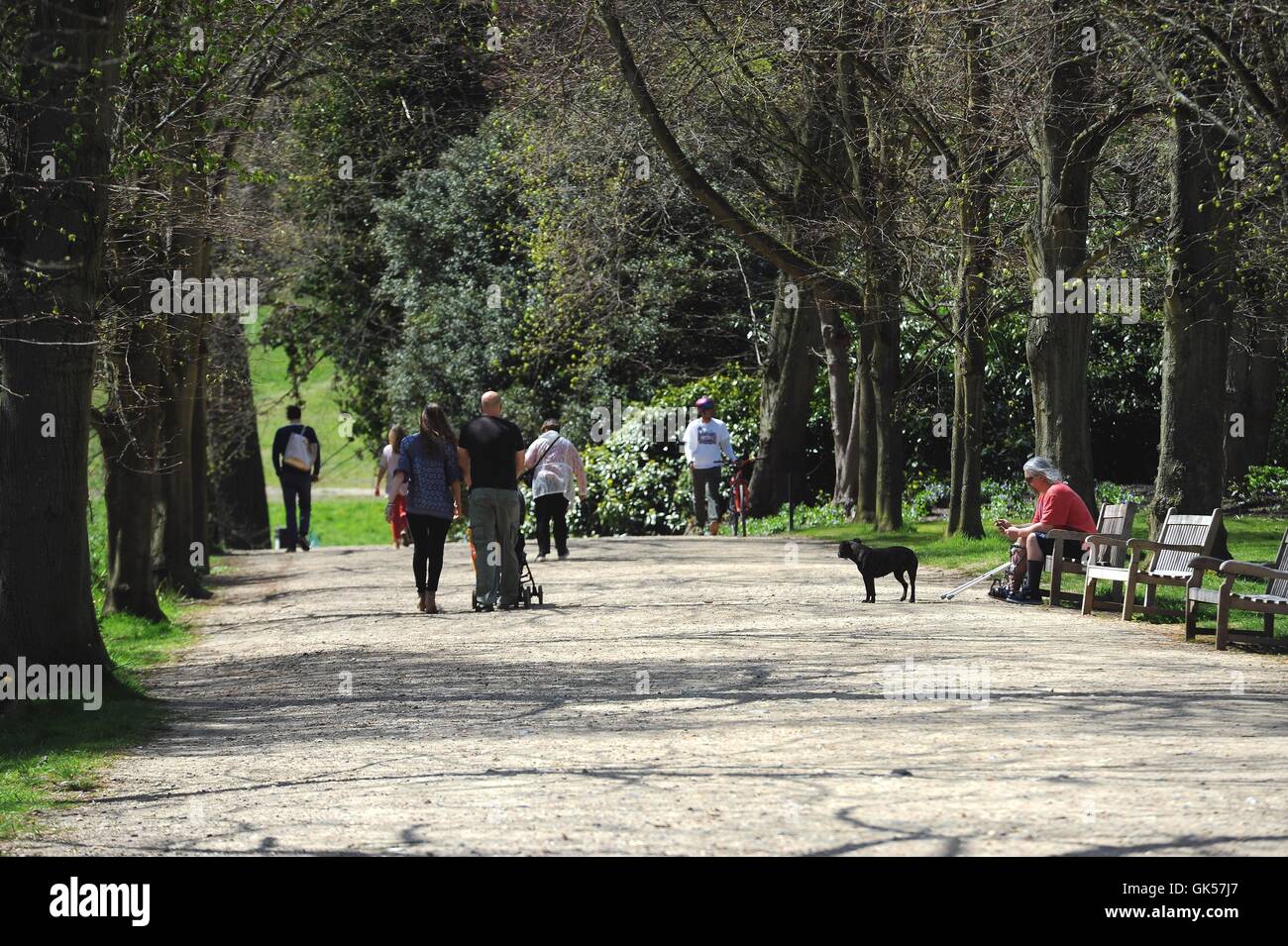 People enjoying the warm spring sunshine on Hampstead Heath Featuring ...