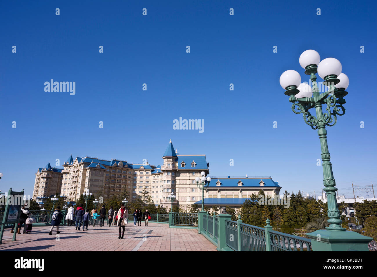 Pink tulip flowers in Tokyo Disneyland Stock Photo - Alamy