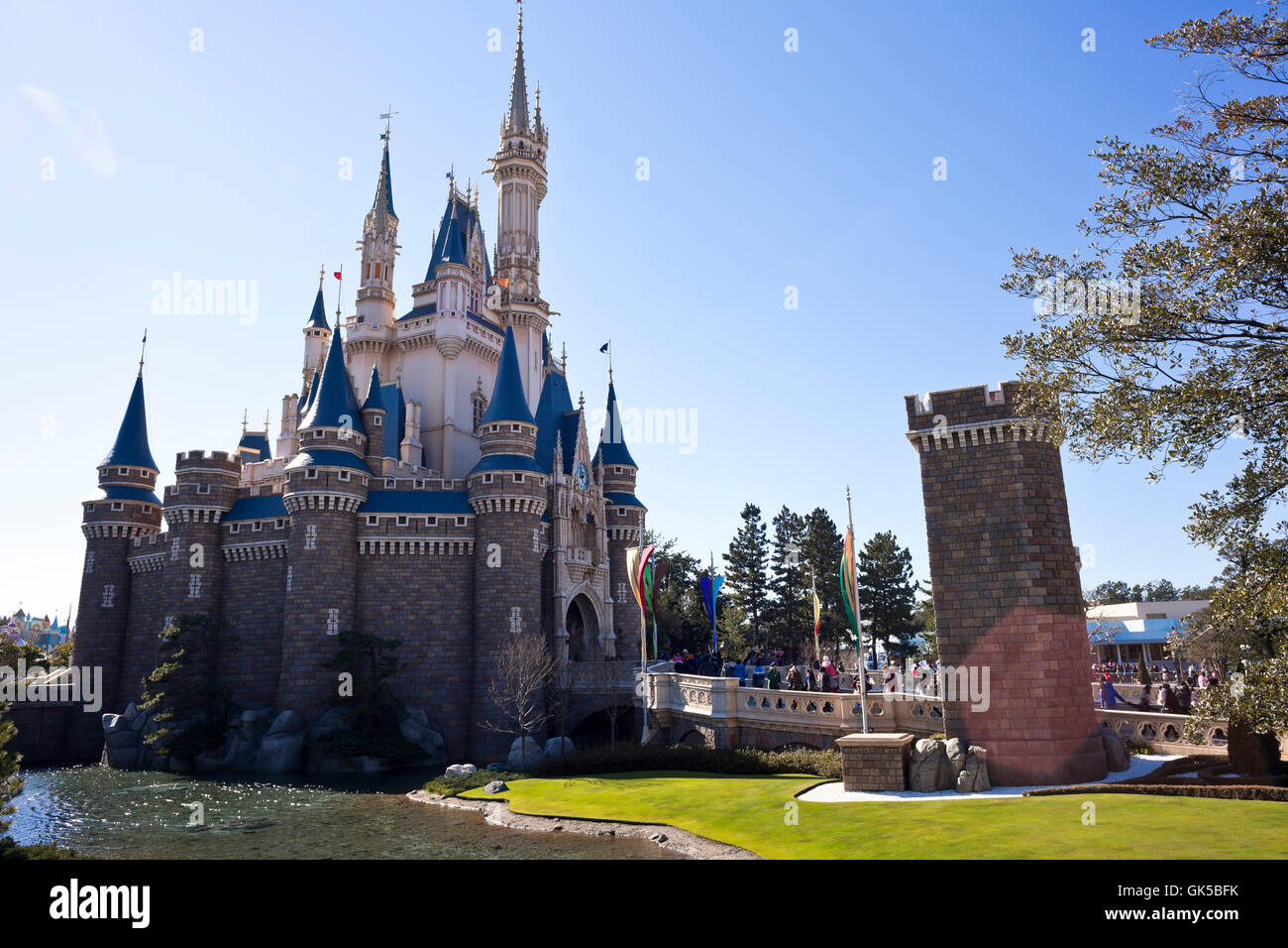 Pink tulip flowers in Tokyo Disneyland Stock Photo - Alamy
