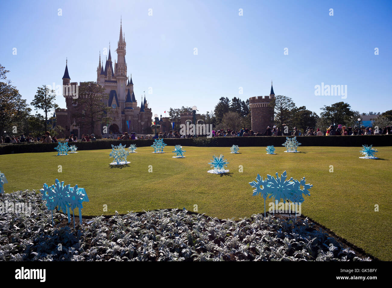 Pink tulip flowers in Tokyo Disneyland Stock Photo - Alamy