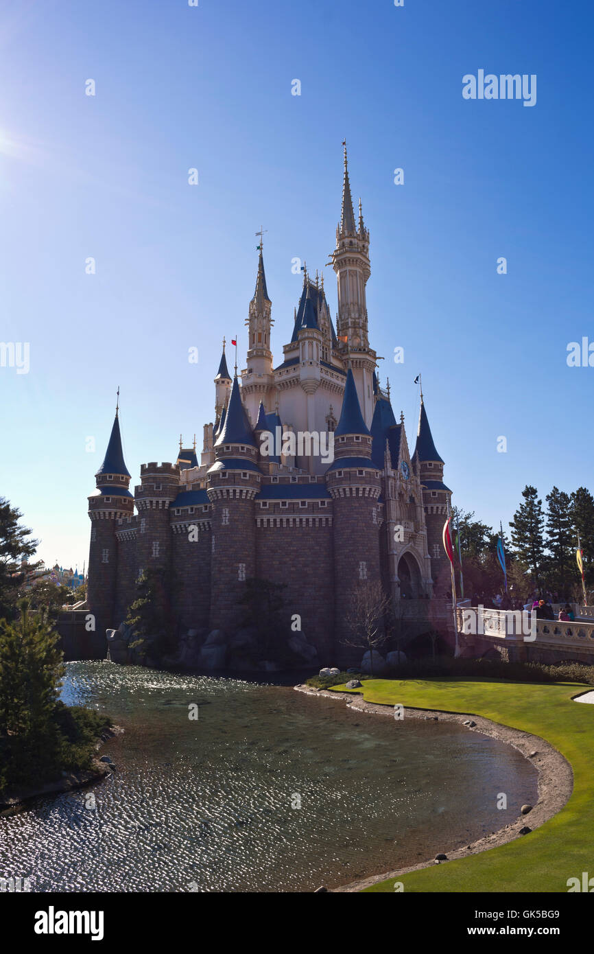 Pink tulip flowers in Tokyo Disneyland Stock Photo - Alamy