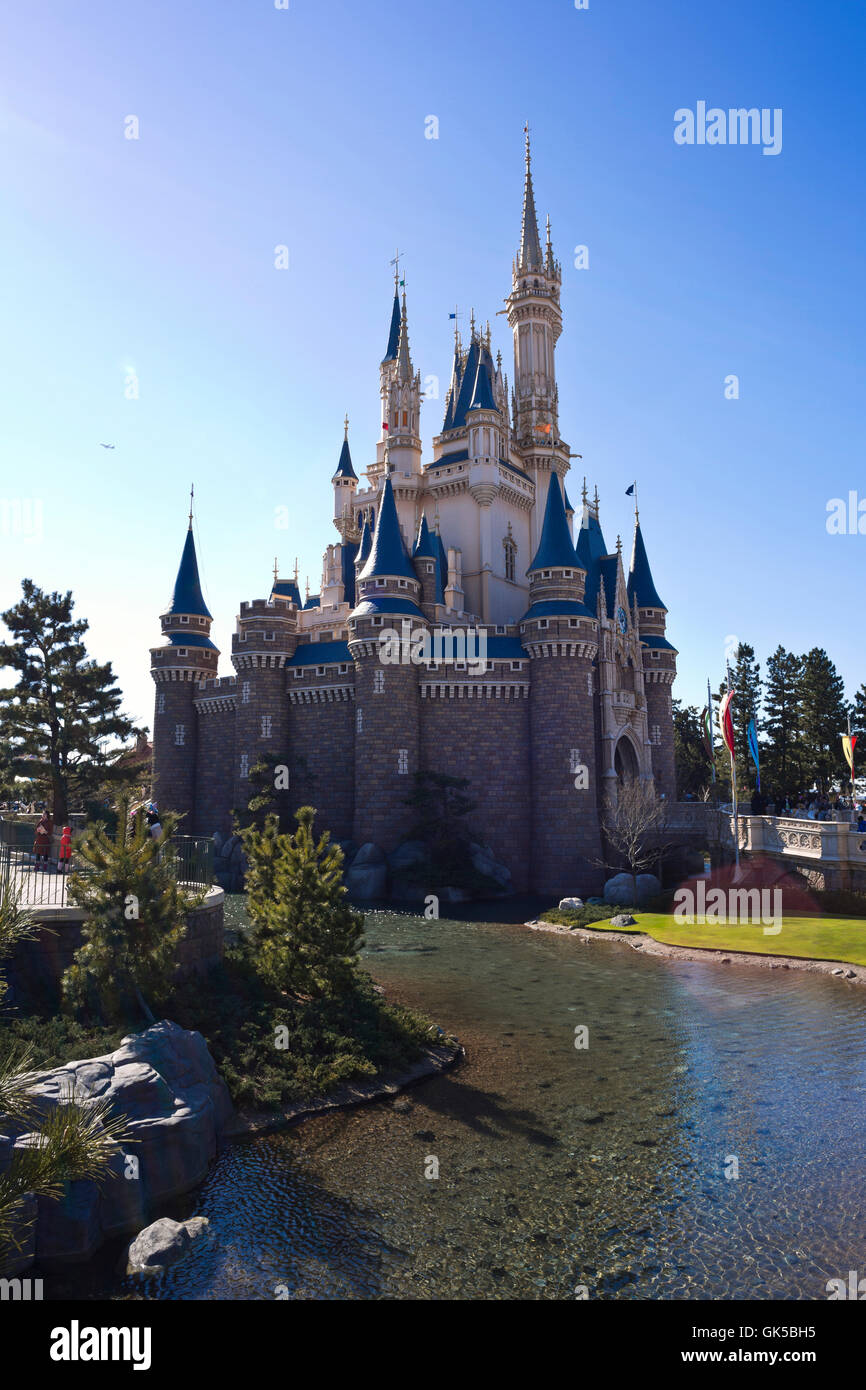 Pink tulip flowers in Tokyo Disneyland Stock Photo - Alamy