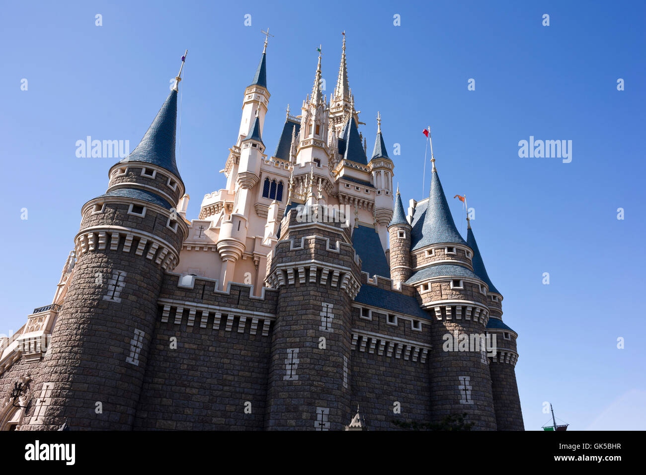 Pink tulip flowers in Tokyo Disneyland Stock Photo - Alamy