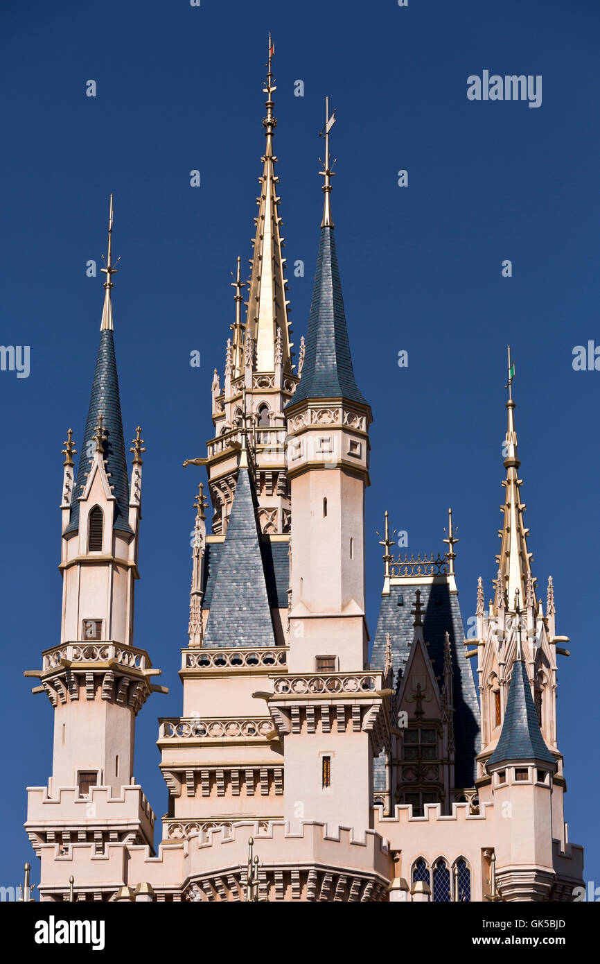 Pink tulip flowers in Tokyo Disneyland Stock Photo - Alamy