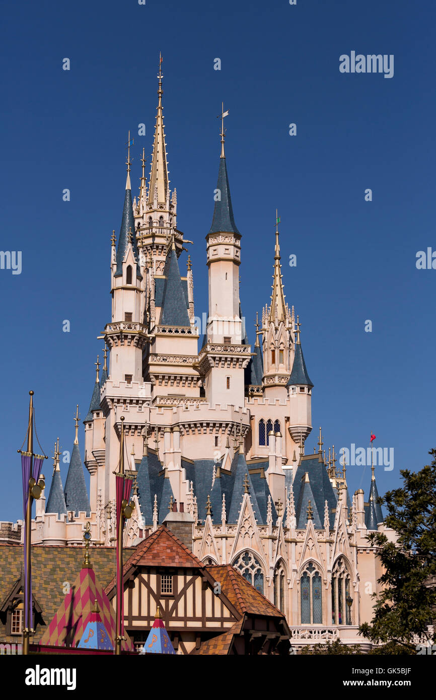 Pink tulip flowers in Tokyo Disneyland Stock Photo - Alamy