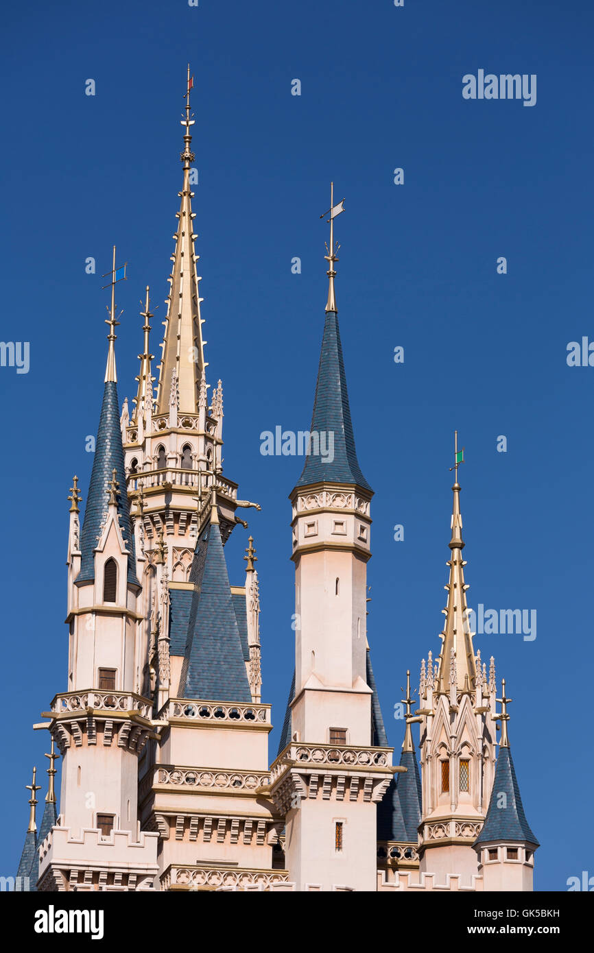 Pink tulip flowers in Tokyo Disneyland Stock Photo - Alamy