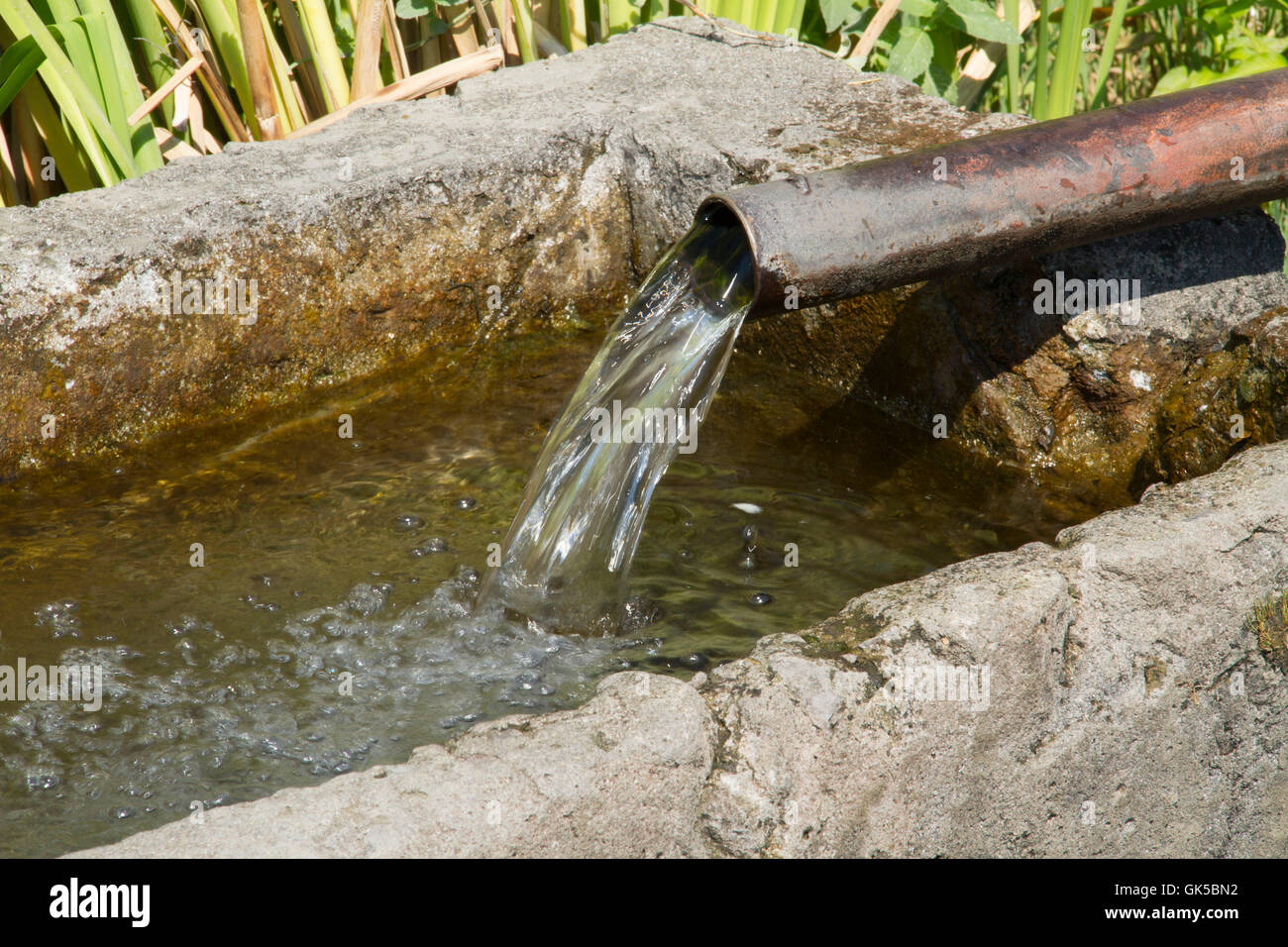 Artesian spring hi-res stock photography and images - Alamy