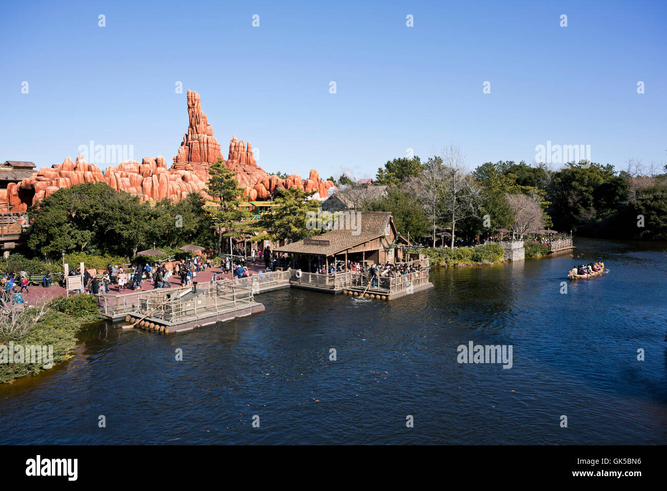 Pink tulip flowers in Tokyo Disneyland Stock Photo - Alamy