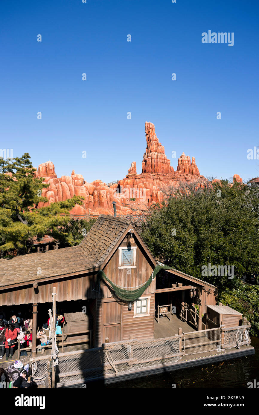 Pink tulip flowers in Tokyo Disneyland Stock Photo - Alamy