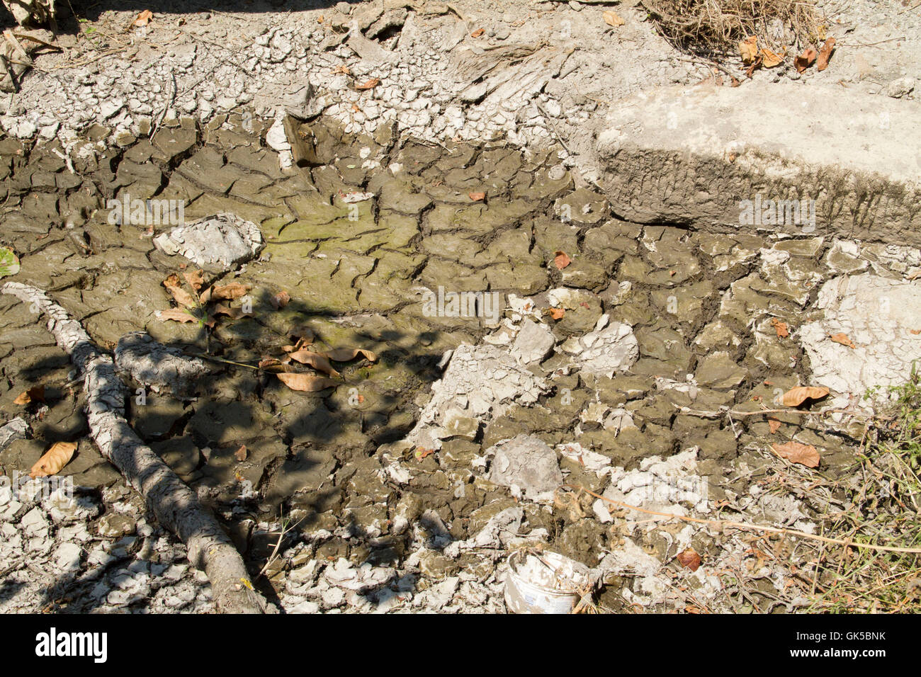 River drought heat hi-res stock photography and images - Alamy