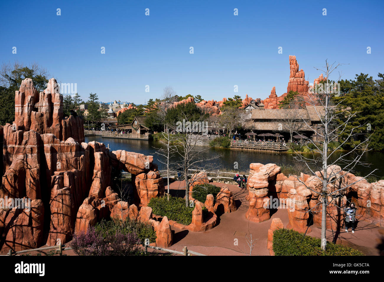 Pink tulip flowers in Tokyo Disneyland Stock Photo - Alamy